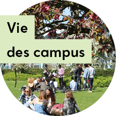Sylvain BELROSE - INTERNET UPN
